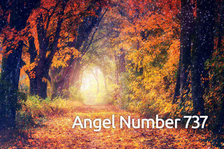 737 Angel Number – A Sign That Means Good Things For You