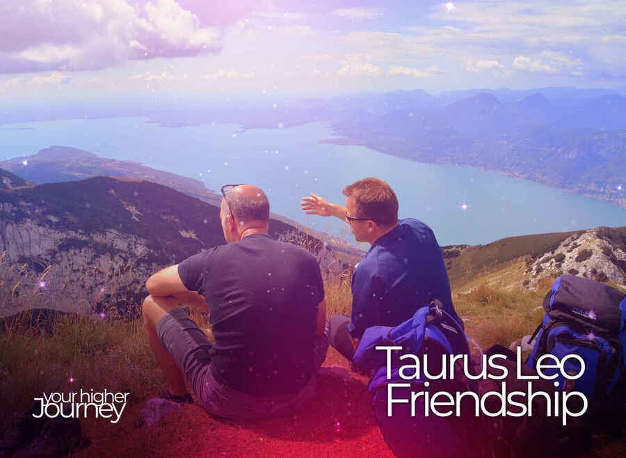 Taurus Leo Friendship – A Bond of Mutual Admiration