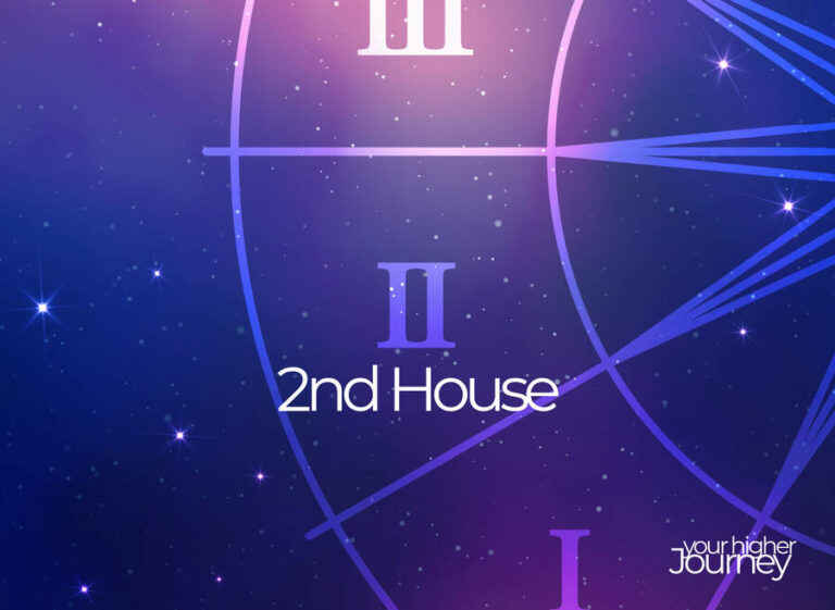 The Essential Beginner's Guide to Natal Charts