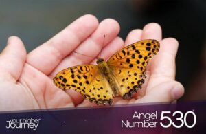 Angel Number 530 Meaning: Positive Change & Untapped Power